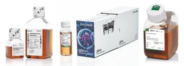 Gibco | Fisher Scientific