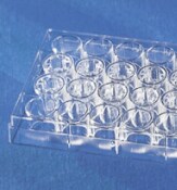 Corning Cell Culture Products | Fisher Scientific