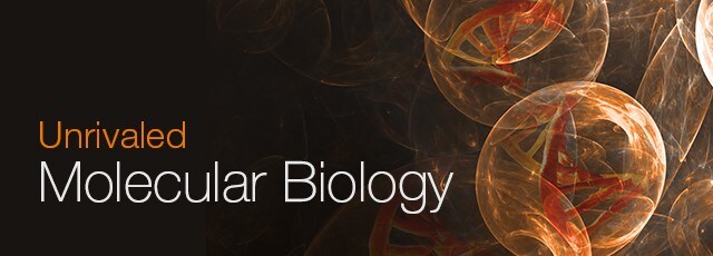 Molecular Biology Workflow Solutions