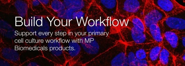 MP Biomedicals Cell Culture Products | Fisher Scientific