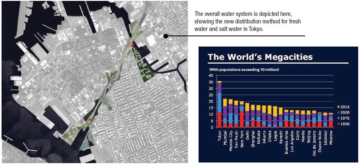 Megacities: Striving for Sustainability