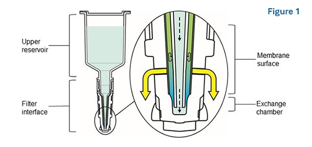 Optimized Small Molecule Antibody Labeling Using the Amicon Pro Device